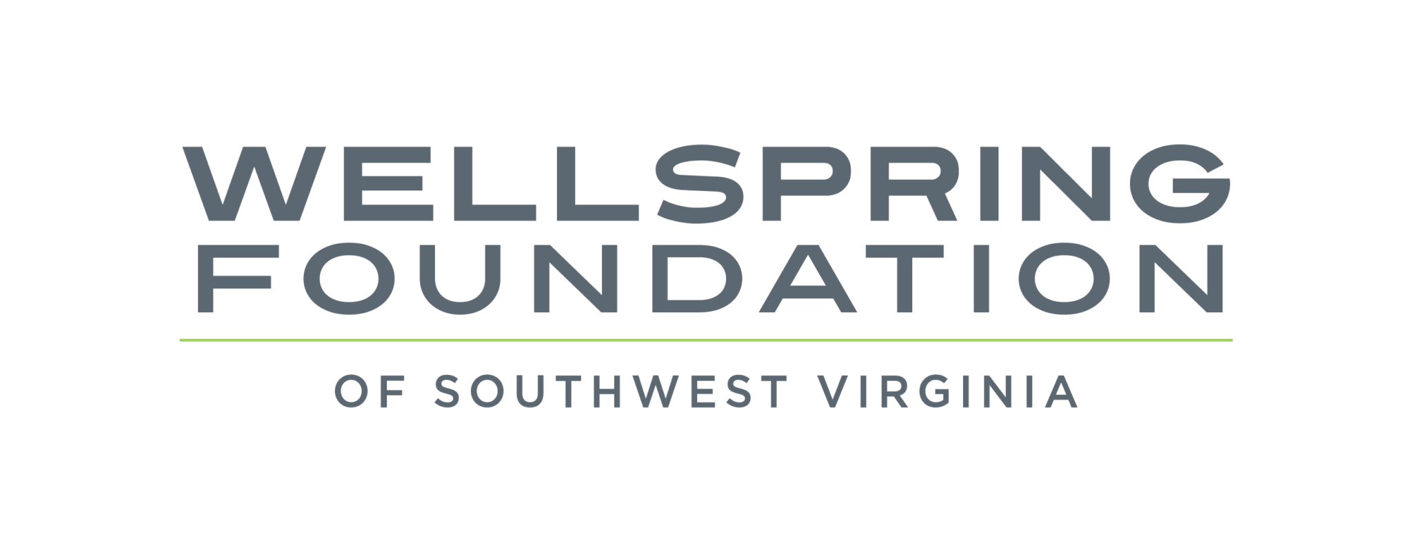Wellspring Foundation of Southwest Virginia – The Wellspring Foundation ...