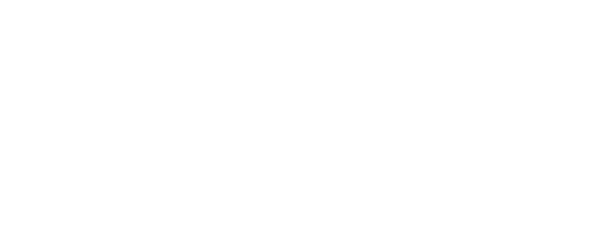 Wellspring Foundation of Southwest Virginia – The Wellspring Foundation ...