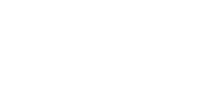 Wellspring Foundation of Southwest Virginia – The Wellspring Foundation ...